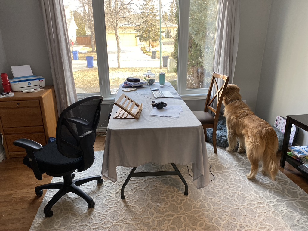 Working From Home Fail - How I Failed at it during Lock Down
